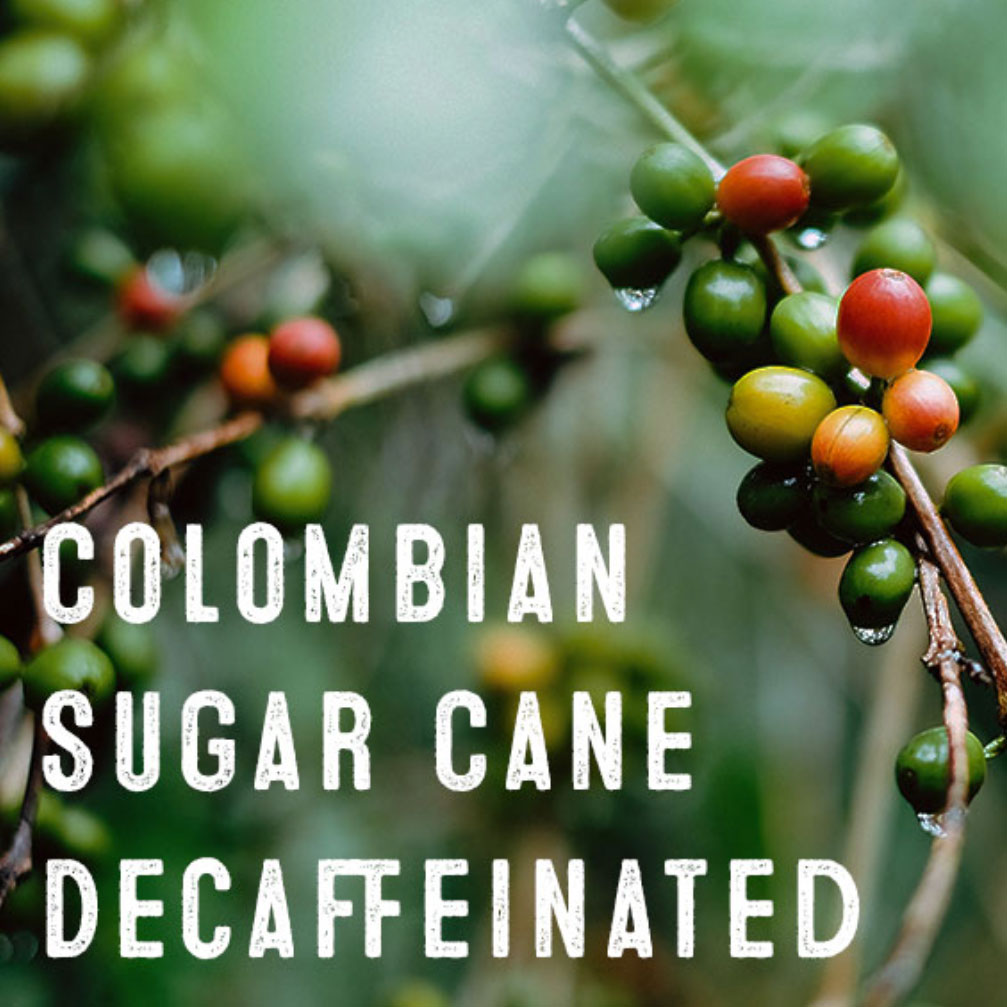 Learn About Colombian Sugar Cane Decaf - Bristol Twenty Tea and Coffee Co.
